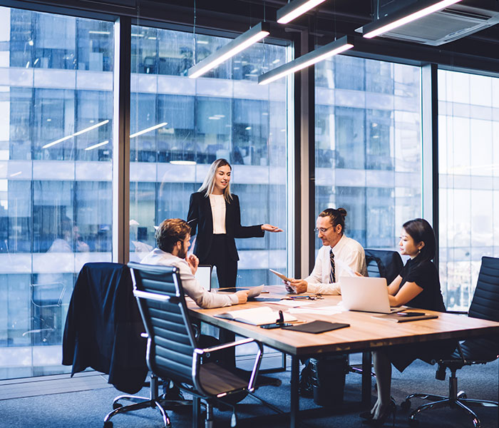 Consultant SAP - Conseil SAP
